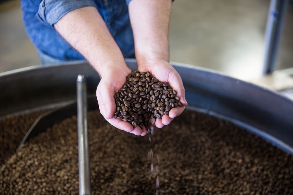 Find a Local Cafe – Frothy Monkey