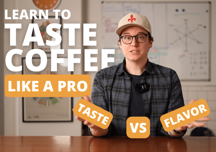 Tasting Coffee Like A Pro: Taste vs Flavor – Frothy Monkey