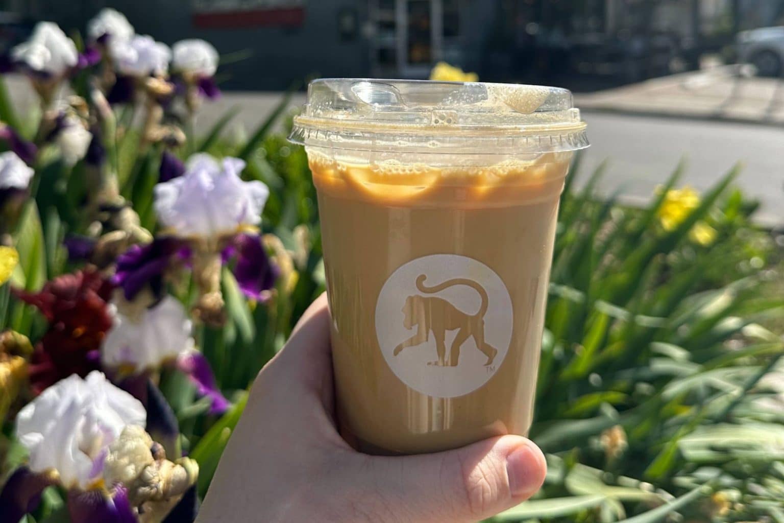 Downtown Nashville Cafe – Frothy Monkey